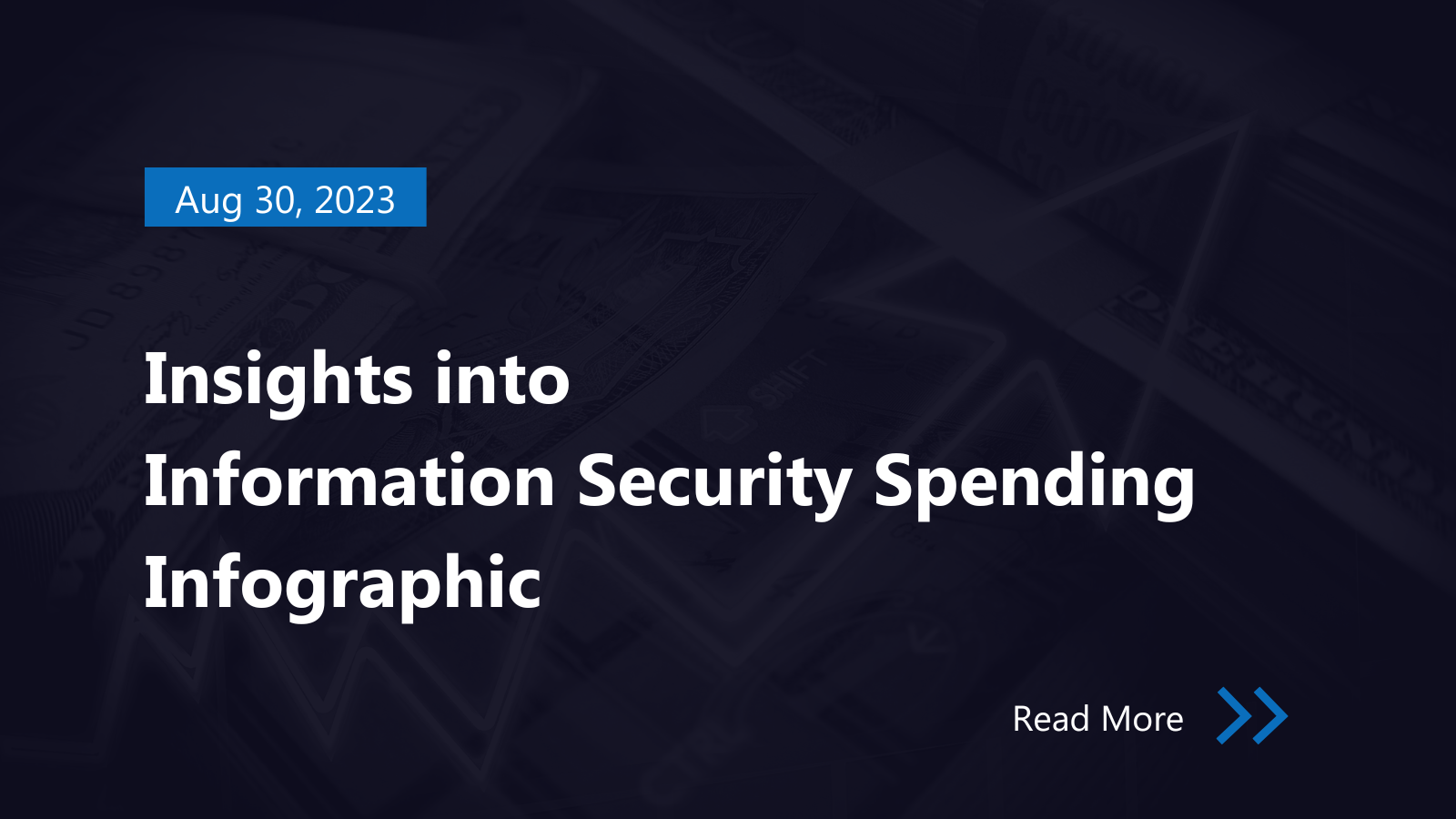 Insights into Information Security Spending Infographic - Black Cell