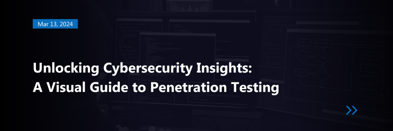 Unlocking Cybersecurity Insights: A Visual Guide to Penetration Testing ...