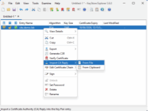 Understanding Digital Certificates: types, domain coverage, keys ...