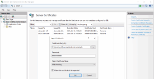 Understanding Digital Certificates: types, domain coverage, keys ...