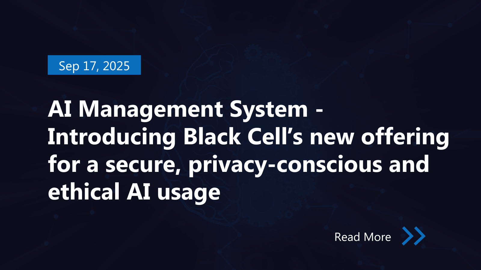 AI Management System - Introducing Black Cell’s new offering for a secure, privacy-conscious and ...